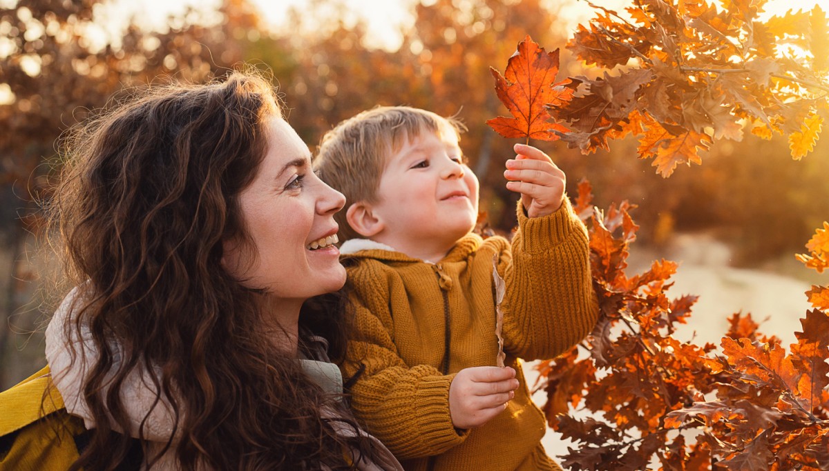 Your fall smile list | DDINS